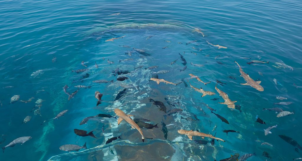 Ithaa Undersea Restaurant | Conrad Maldives Rangali Island Dining